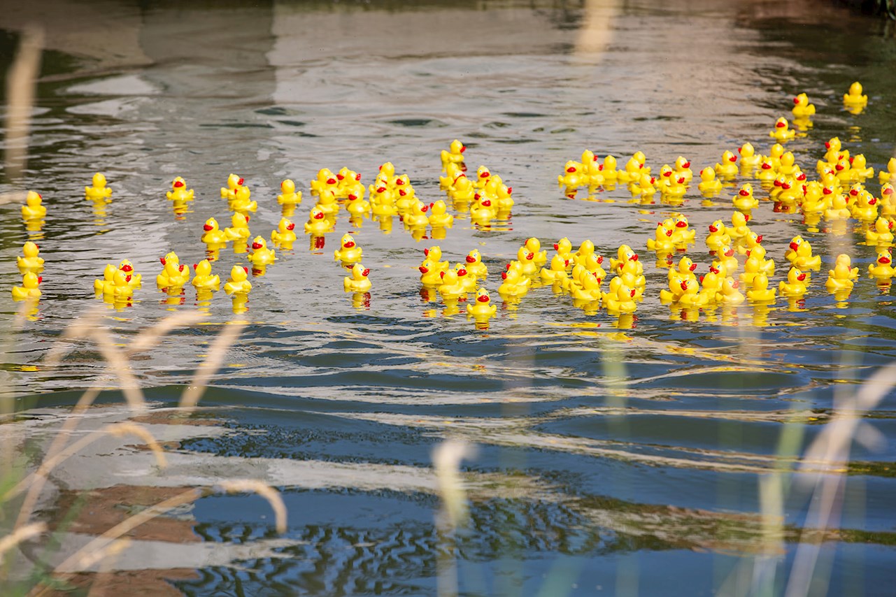 Optimist Club of Windsor, Colorado - Optimist International
